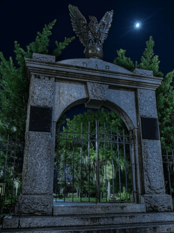 EasyJet vs Ryanair: A Comparative Analysis of Airlines